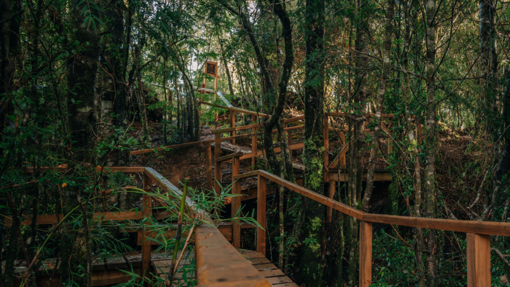 Home - Turismo Puyehue